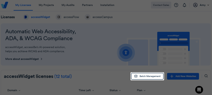 How to add and manage accessWidget subscriptions using API or CSV files – accessiBe Help Center